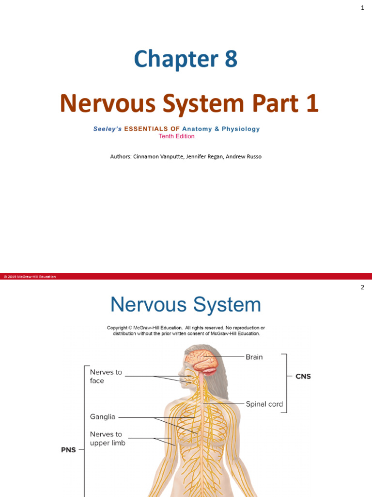 Chapter 8 Nervous System_part 1 -2 | PDF | Chemical Synapse | Myelin
