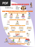 Essalud. GUIA DE Psicoprofilaxis Obstetrica y Estimulacion Prenatal | PDF