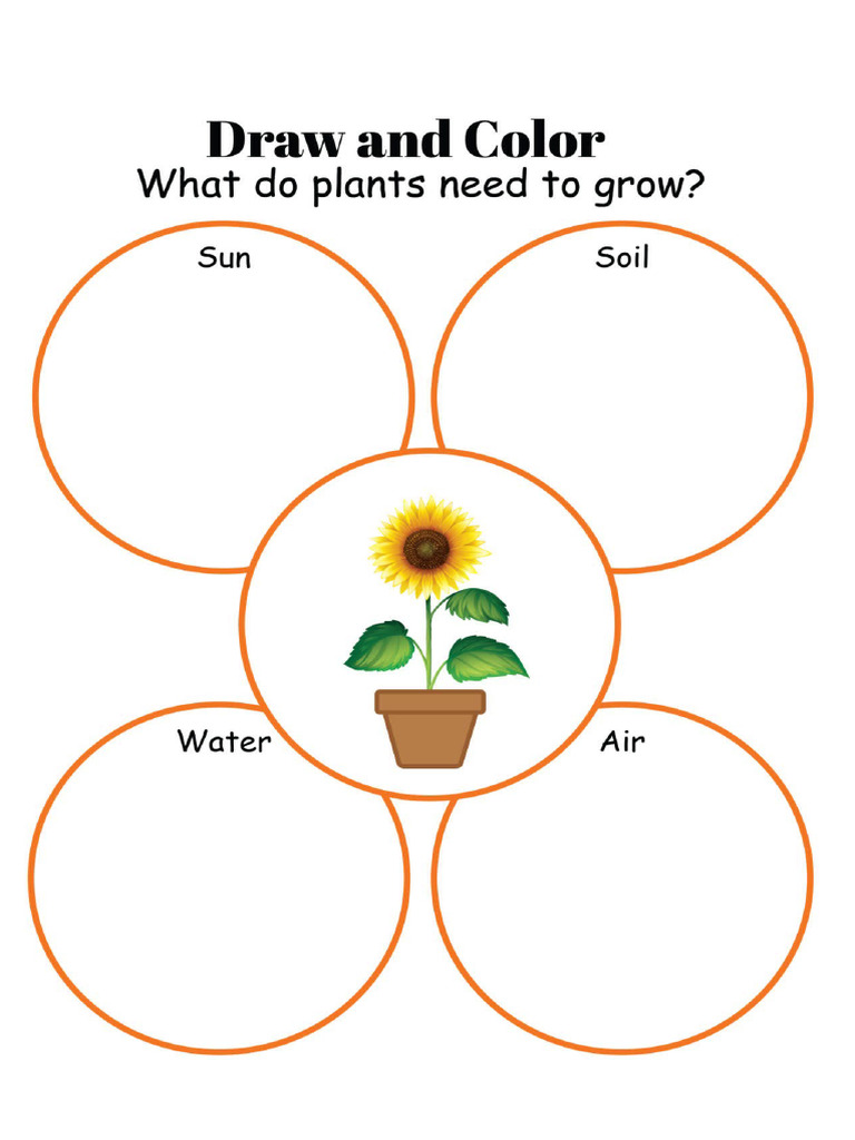 Plants worksheet | PDF