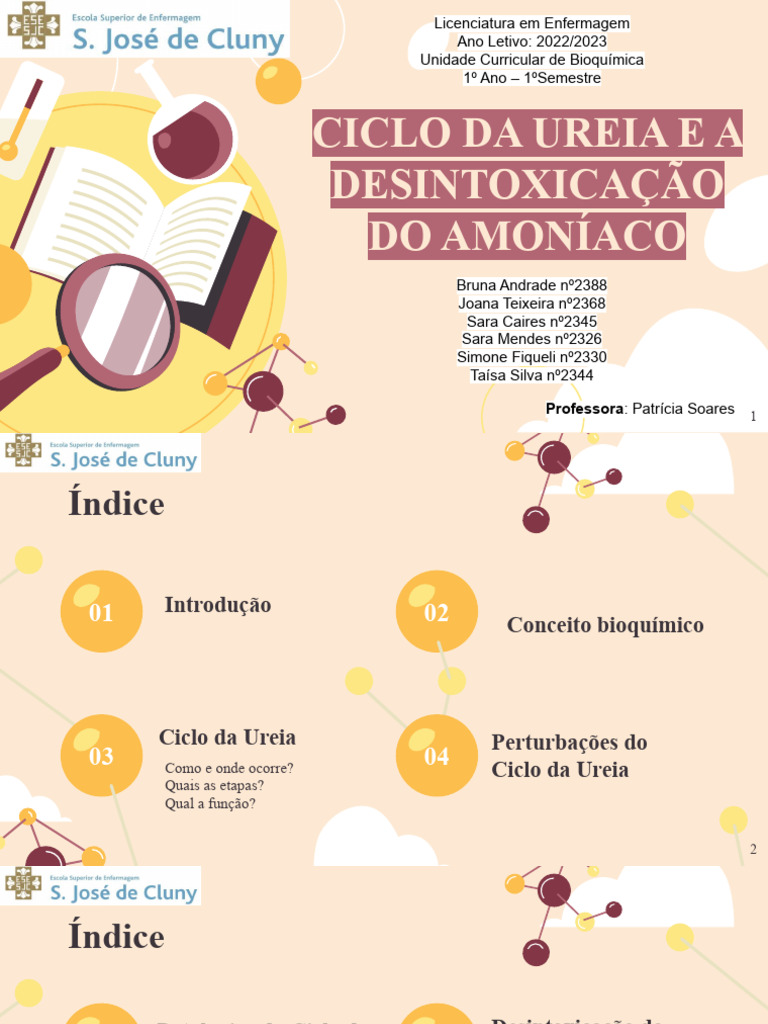 Ciclo Da Ureia e A Desintoxicação Do Amoníaco - Bioquímica | PDF ...