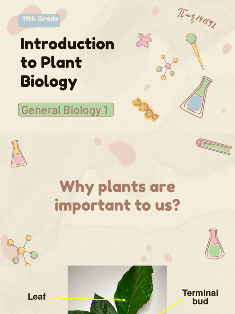 Week 1 Part 2 Introduction To Plant Biology | PDF | Chloroplast | Leaf