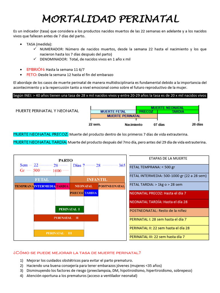 22. MORTALIDAD PERINATAL | PDF | Parto prematuro | El embarazo