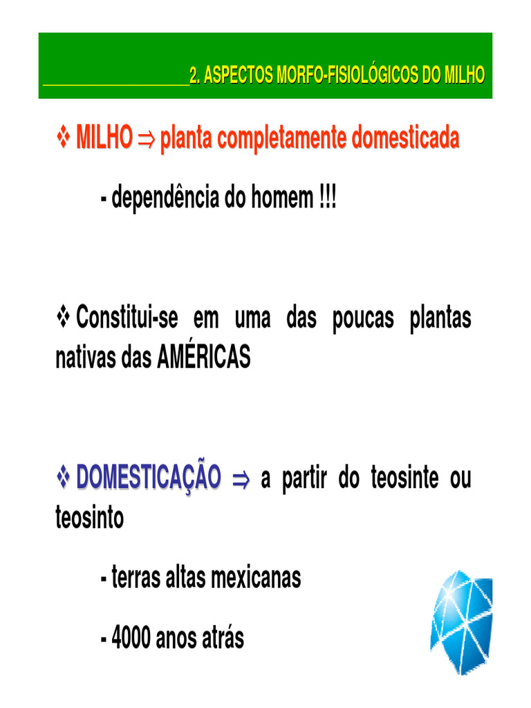 Aspectos Morfo-Fisiológicos Do Milho - Parte 1 | Download grátis PDF ...