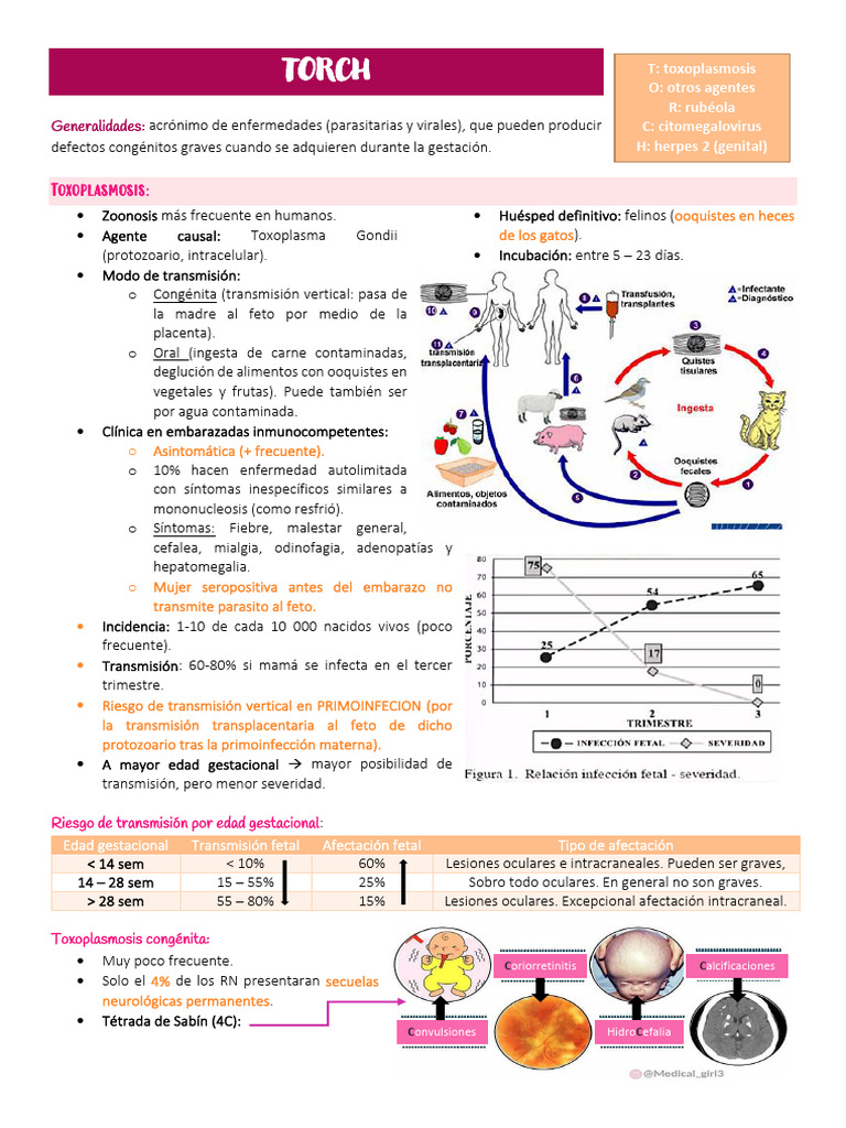 20.2 Infecciones en Obstetricia (Torch) | PDF | Especialidades Medicas ...