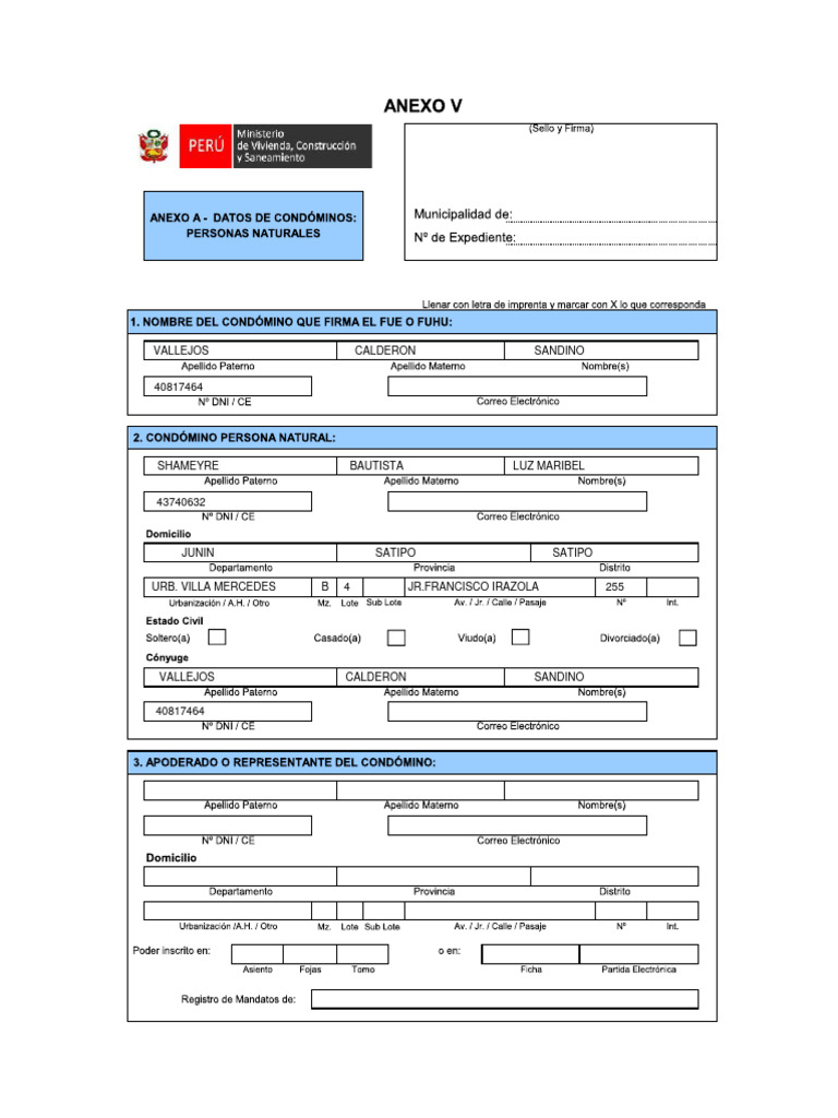 Formulario - Anexo A - Datos de Condóminos - Personas Naturales - PDF SANDINO | PDF