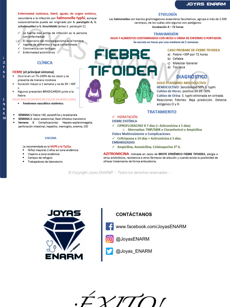 Fiebre Tifoidea: Síntomas y Tratamiento | PDF | Especialidades Medicas ...