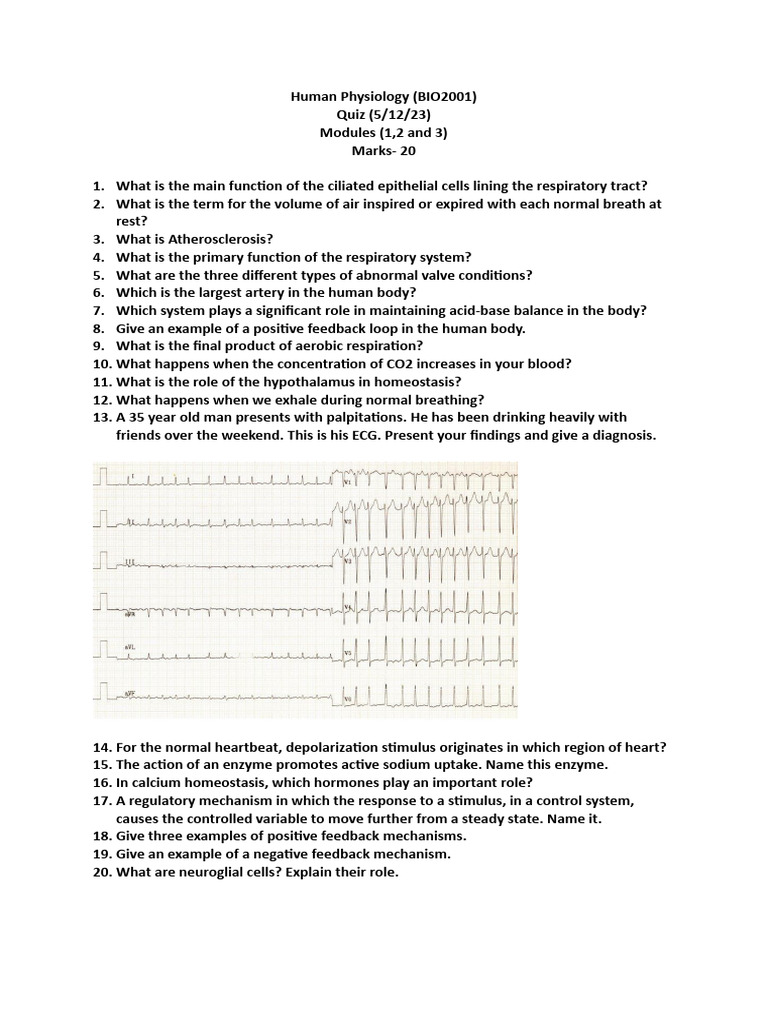 Human Physiology Quiz: Key Concepts | PDF