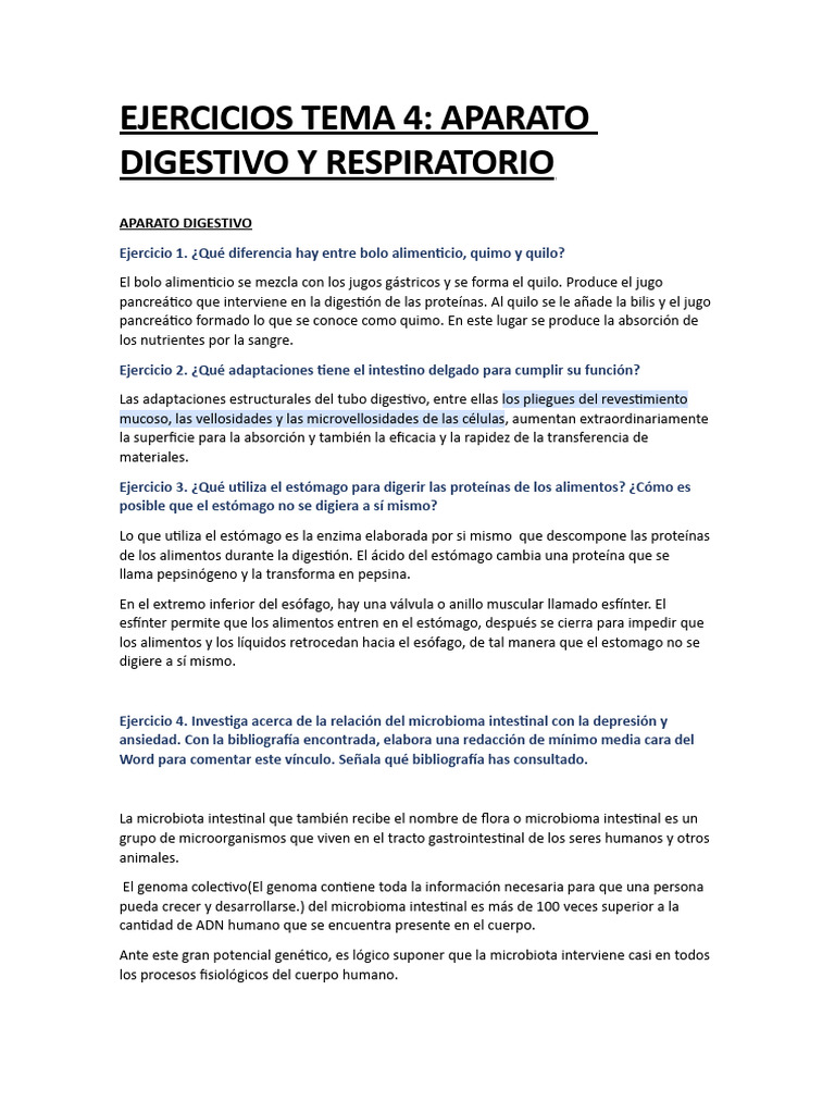Ejercicios sobre Digestión y Respiración | PDF | Digestión | Sistema ...