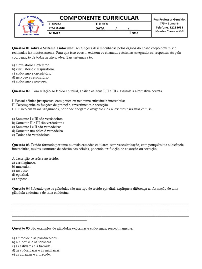 Ativi Sistema Endocrino | PDF | Epitélio | Glândula pituitária