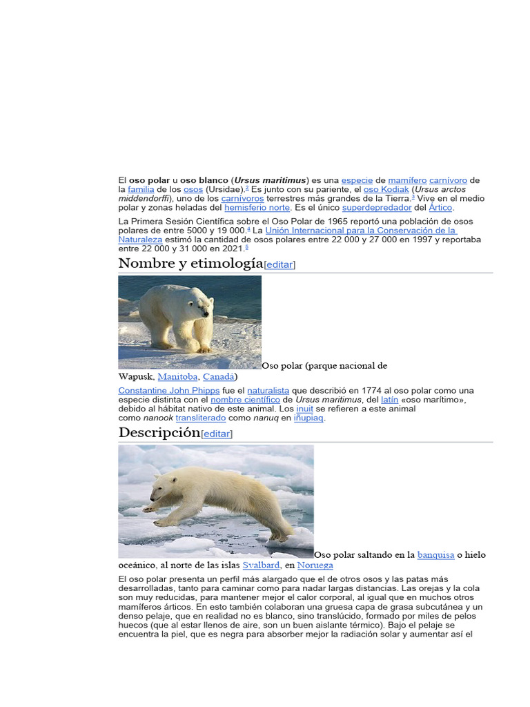 Osos Polares | PDF | Oso polar | Osos
