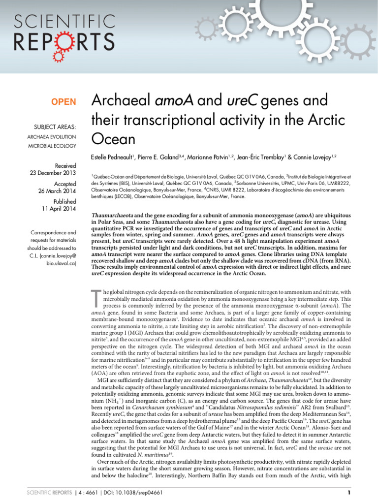 Pedneault 2014 Archaeal AmoA and UreC Genes and | PDF | Biotechnology ...