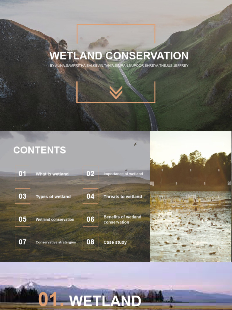 Wetland Conservation | PDF | Wetland | Swamp