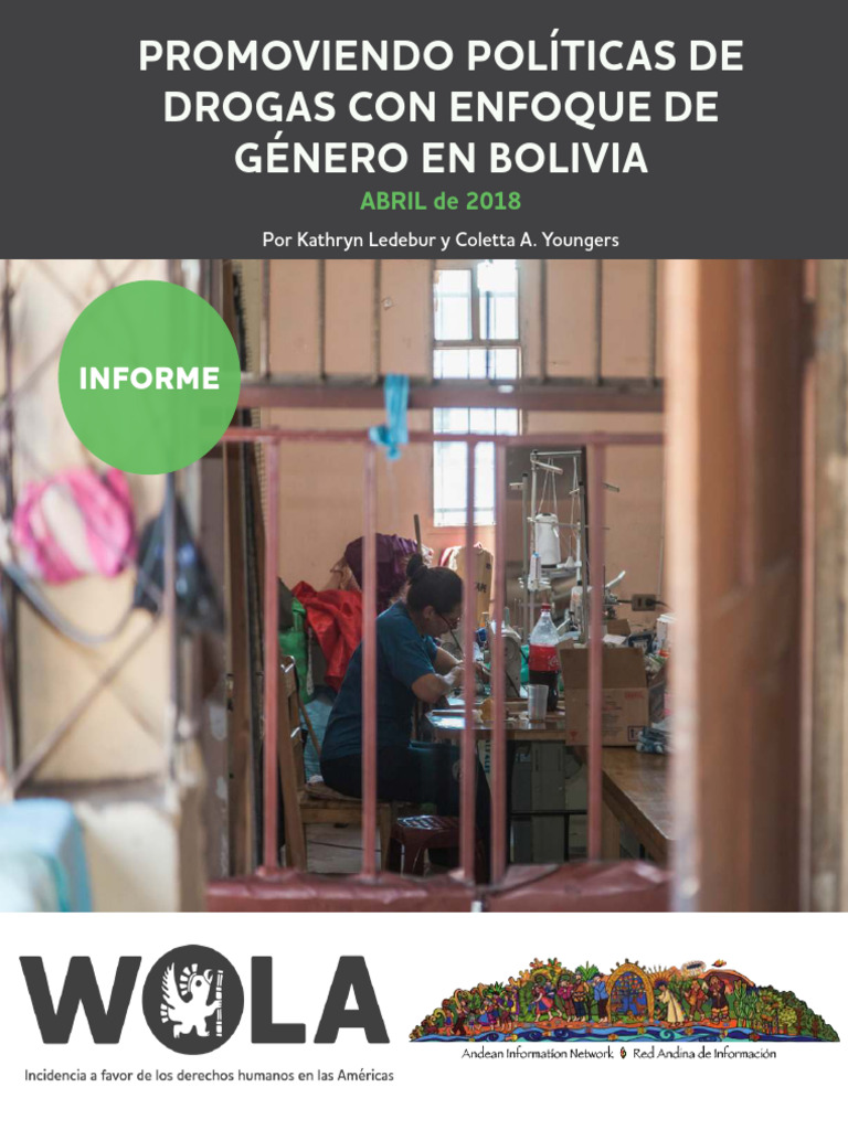 Bolivia-Report FINAL Spanish | PDF | Prisión | Perdón