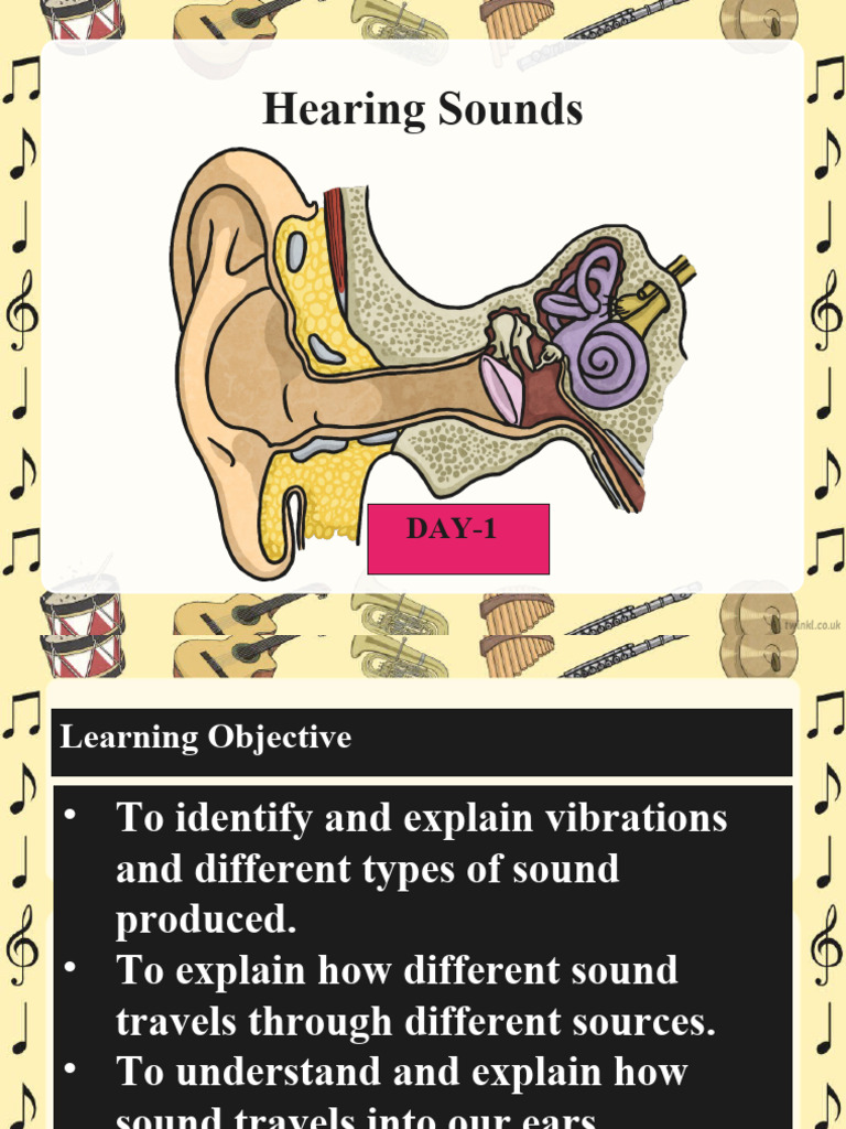 Hearing Sound PPT - 1664085596 | PDF | Sound | Hearing
