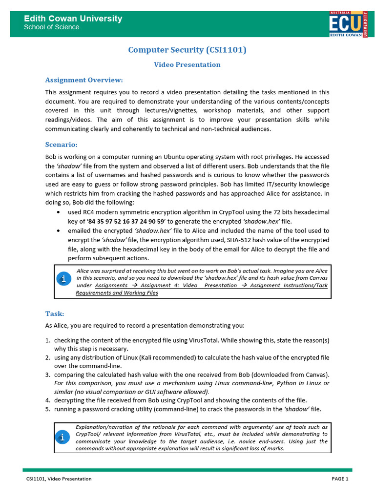 CSI1101 - Video Presentation Assignment | PDF | Password | Encryption