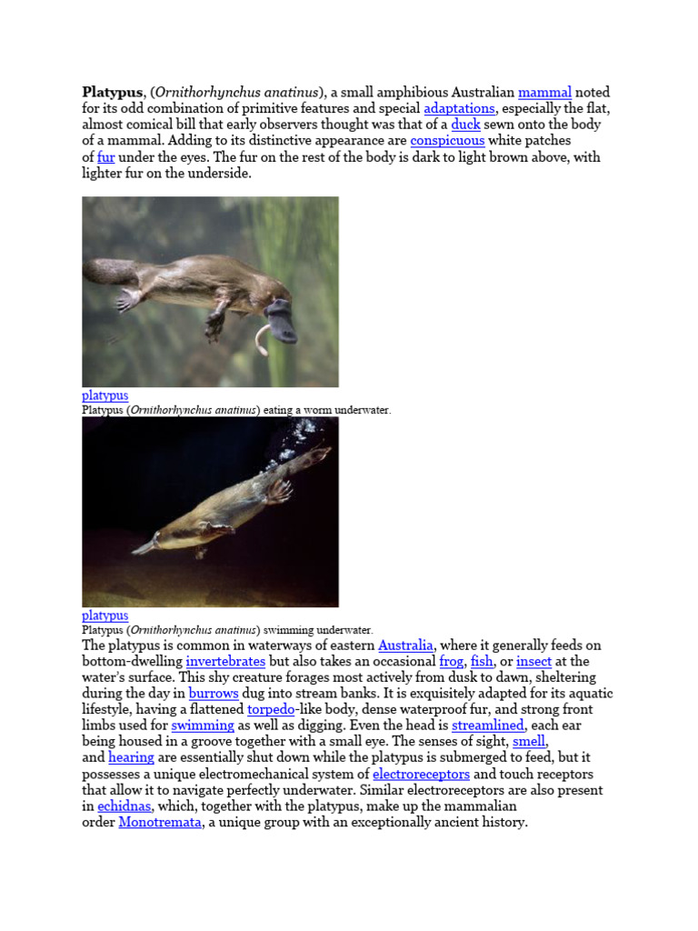 platypus | PDF | Zoology