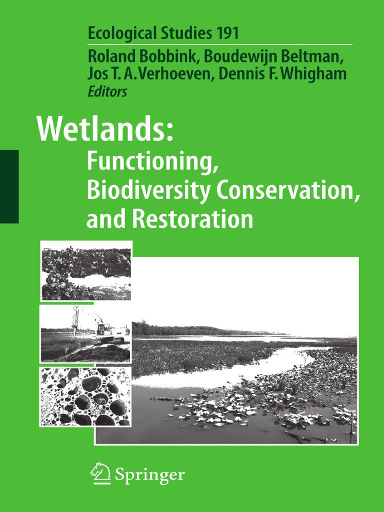 Wetlands Functioning Biodiversity Conservation and Restoration 2006 ...