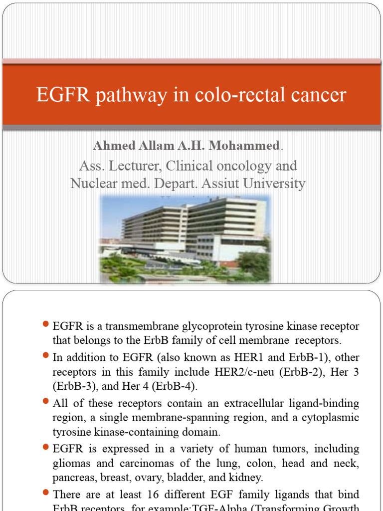Egfr in Colorectal | PDF | Epidermal Growth Factor Receptor | Cancer