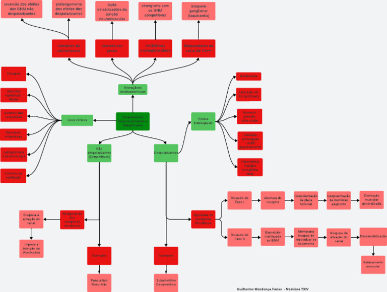Bloqueadores Neuromusculares - P Gina 1 | PDF | Neurofisiologia | Neuroquímica
