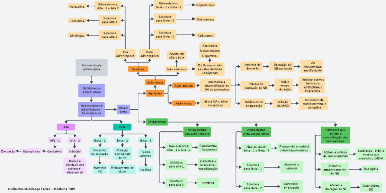 Farmacologia Adrenérgica - P Gina 1 | PDF | Norepinefrina | Neurofisiologia