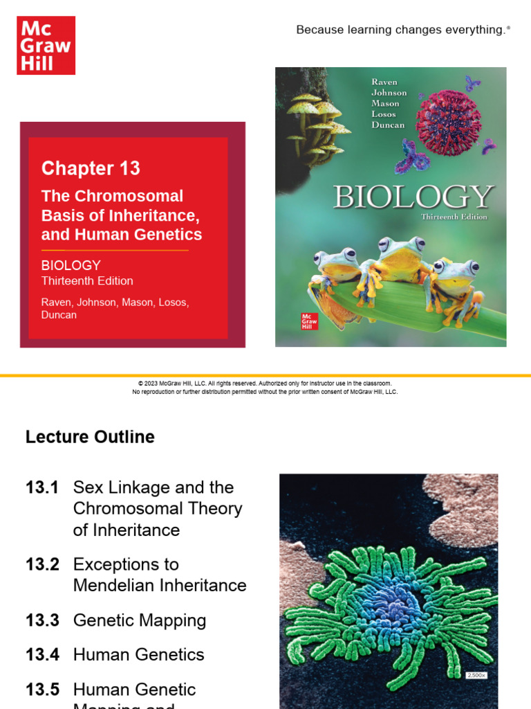 U4 Chapter 13 The Chromosomal Basis of Inheritance and Human Genetics ...