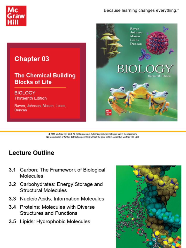 UTF-8''U1 Chapter 3 The Chemical Building Blocks of Life | PDF ...