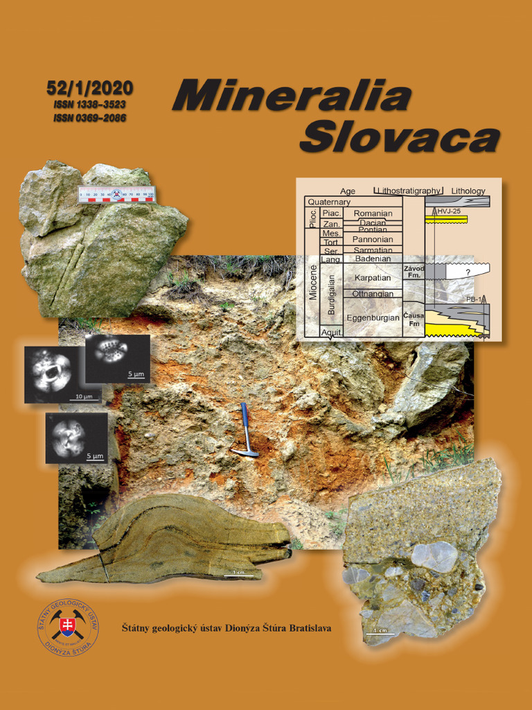 Trenčianska & Ilavská Basins: Miocene Geology | PDF