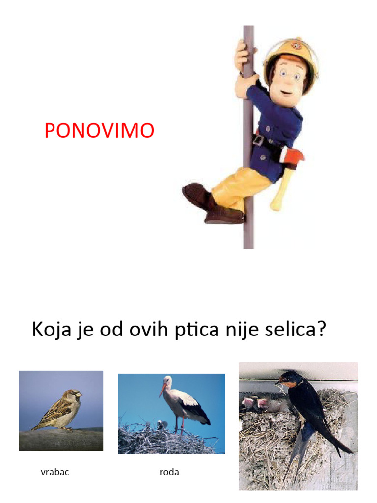 Proljece Zastita Okolisaz Zastita Od Pozara An A | PDF
