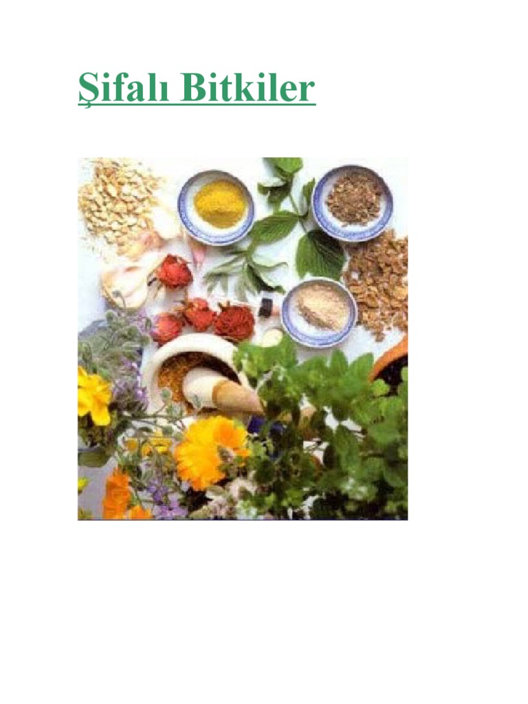 Şifalı Bitkiler Ve Taslar | PDF