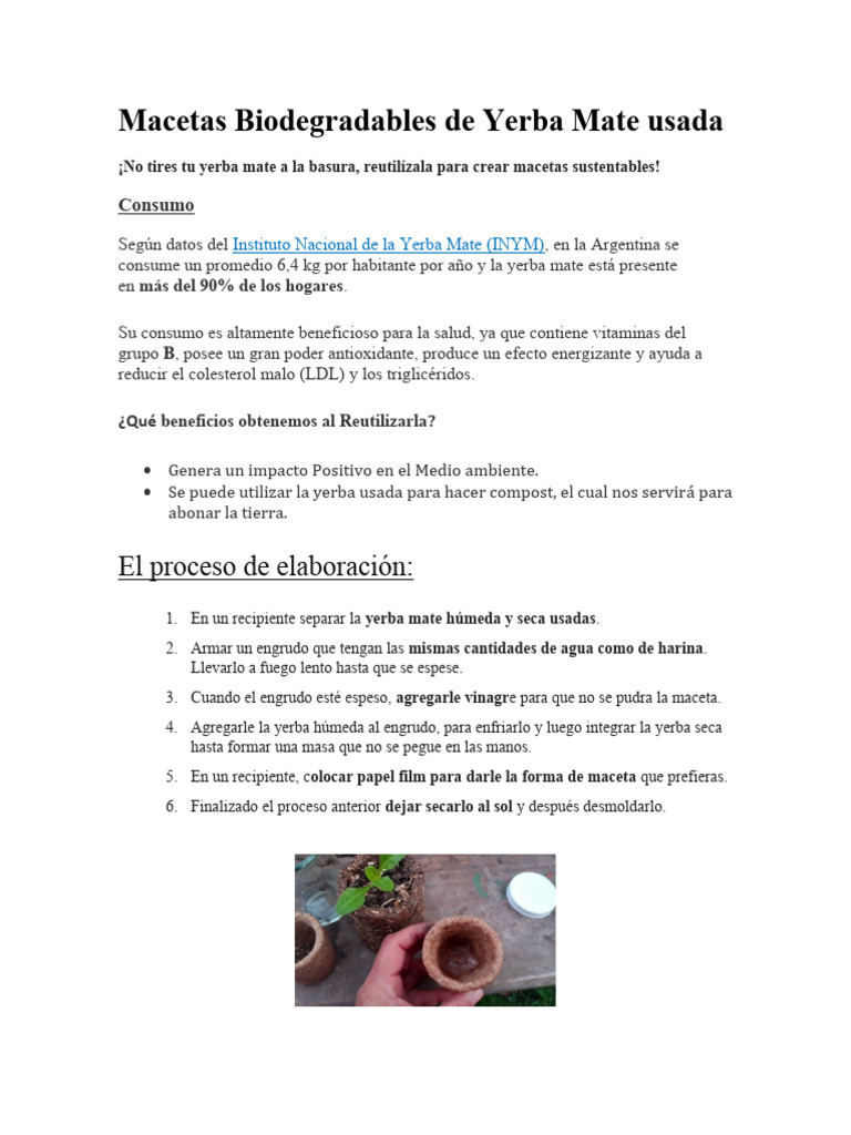 6° Macetas Biodegradables de Yerba Mate Usada | PDF | Tecnología