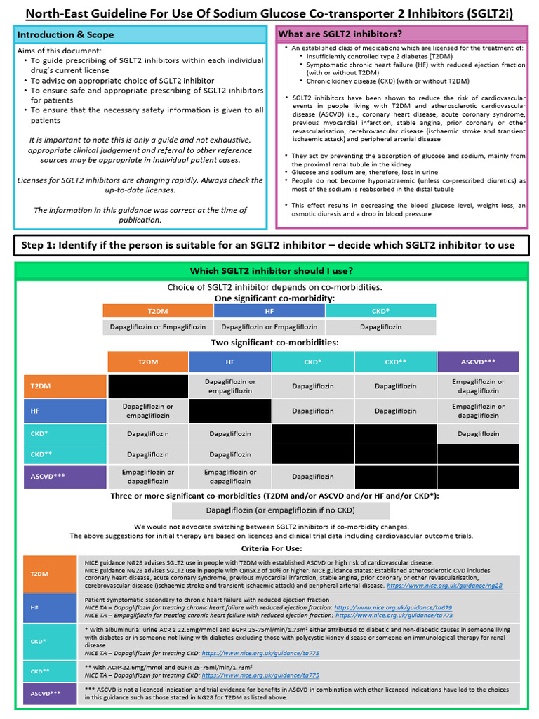 SGLT2 Inhibitor Prescribing Guidelines | PDF | Myocardial Infarction ...