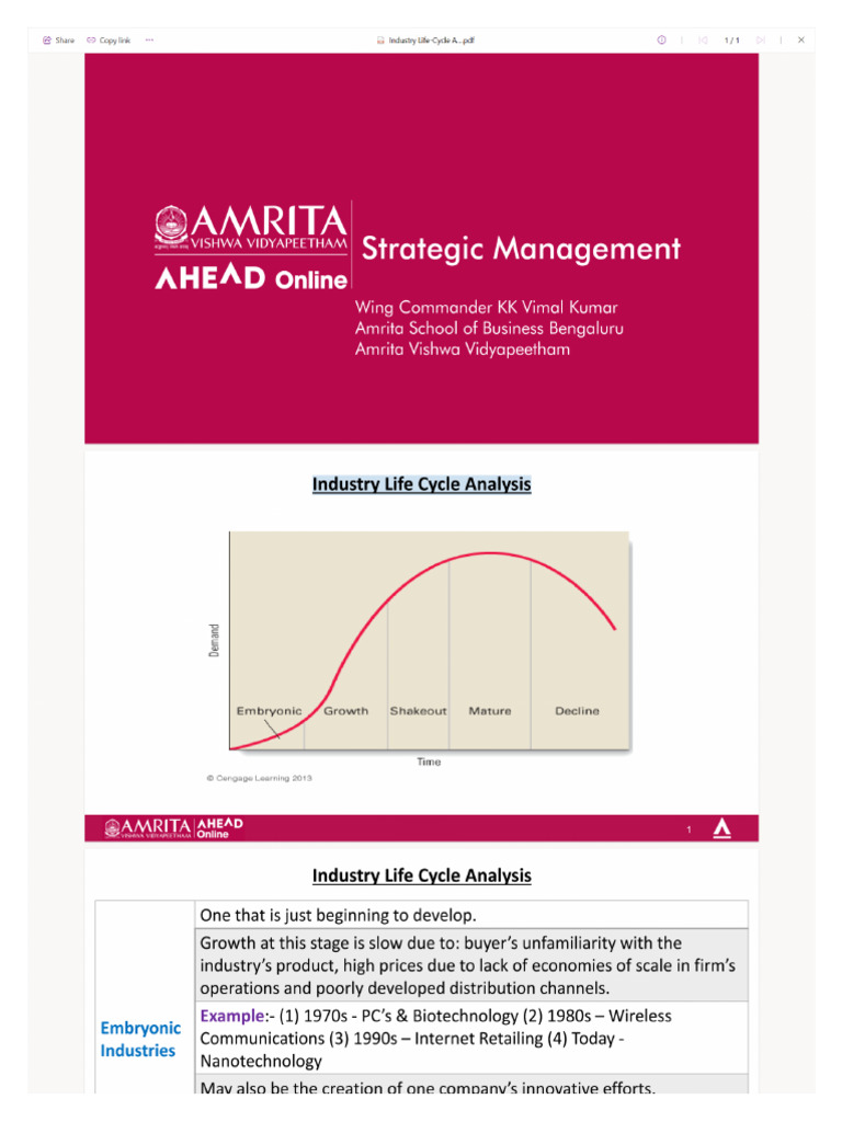 Industry Life Cycle Analysis | PDF