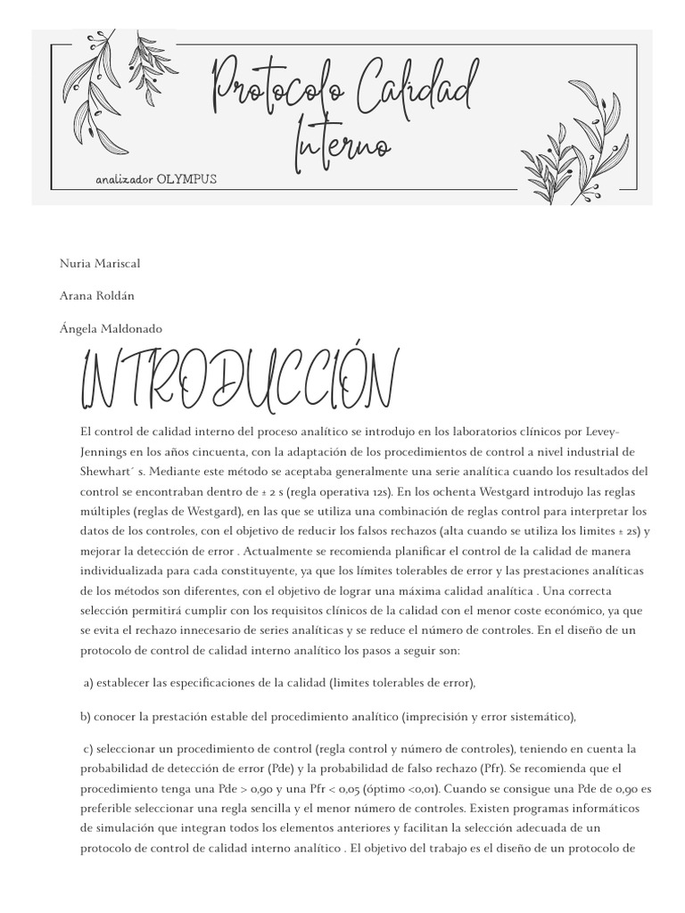 Protocolo Calidad Interno | PDF | Informática