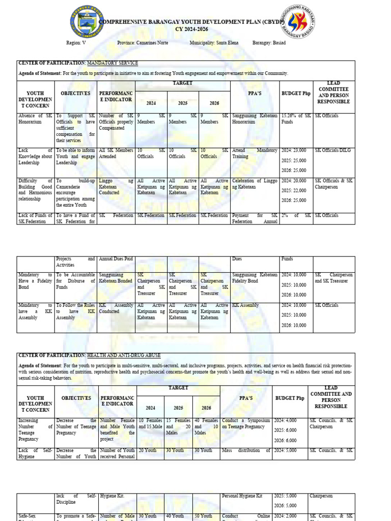 CYDP 2025: Youth Development Plan | PDF