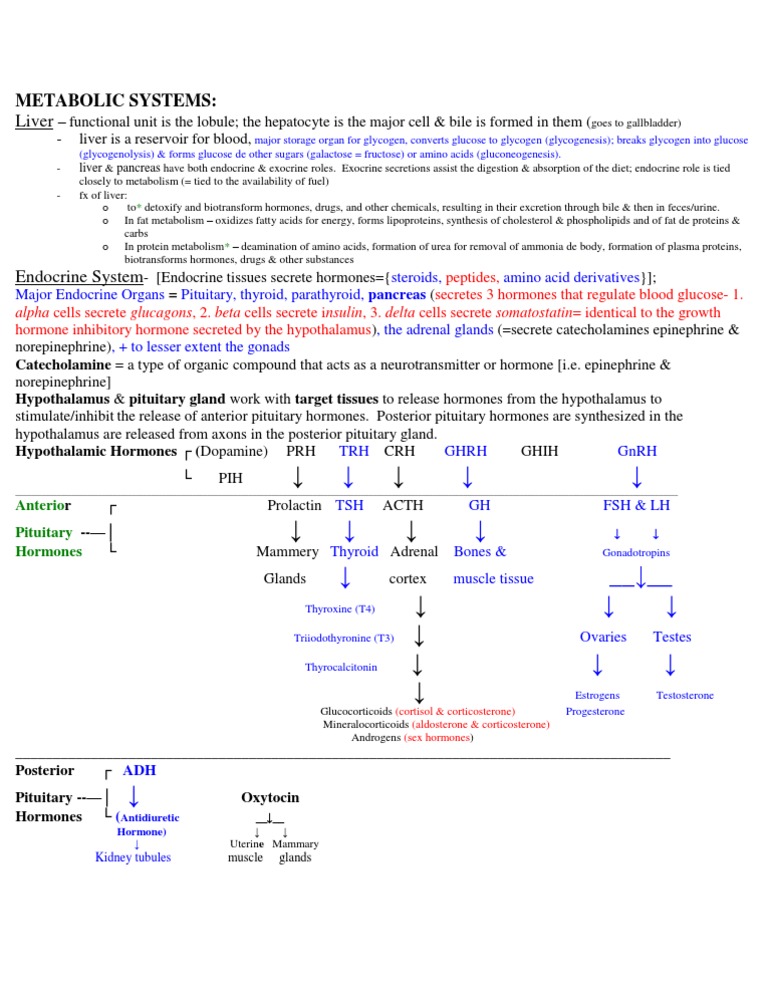 Metabolic Systems | PDF | Self-Improvement | Wellness