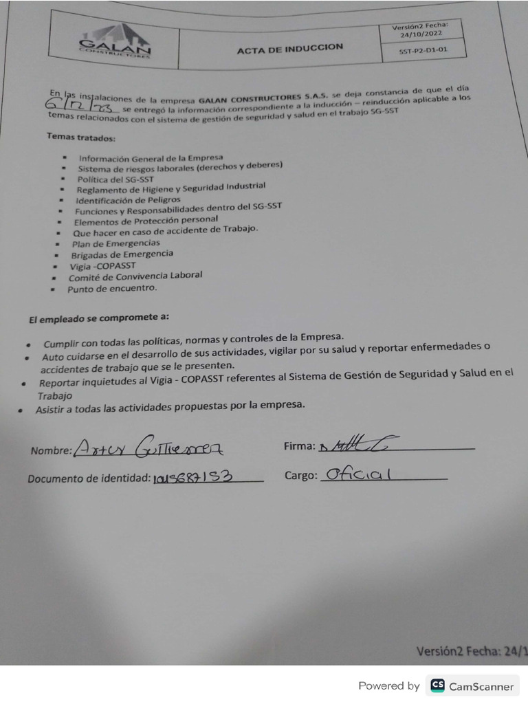 Reinduccion Arthur Gutiérrez | PDF