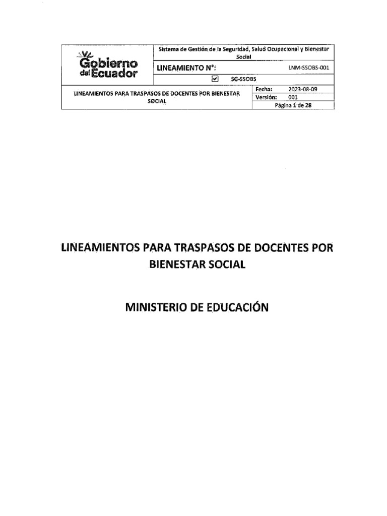 lineamientos_bs_(4) | PDF