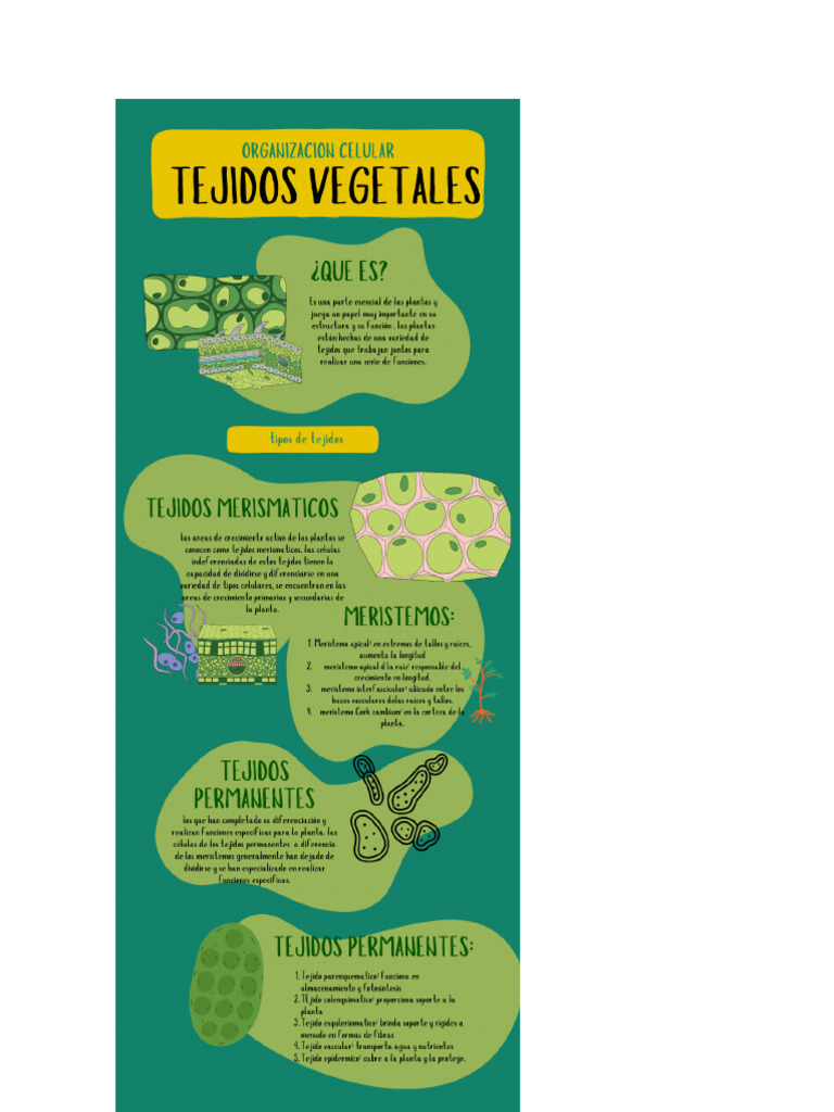 Tejidos Vegetales - Bot.mon | PDF