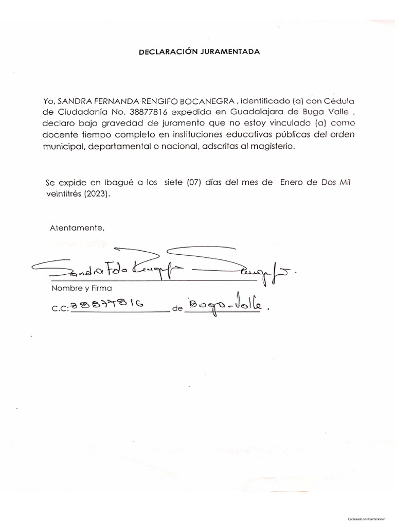 Declaración Juramentada | PDF