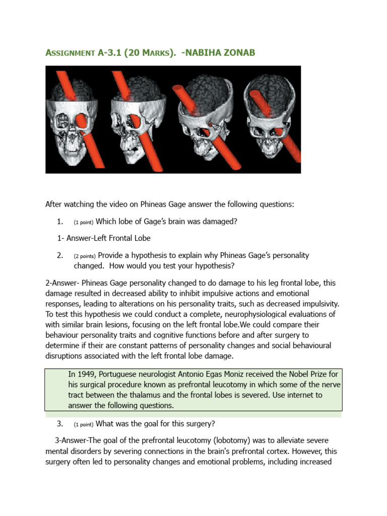 Chapter 1 Assignment 6 | PDF