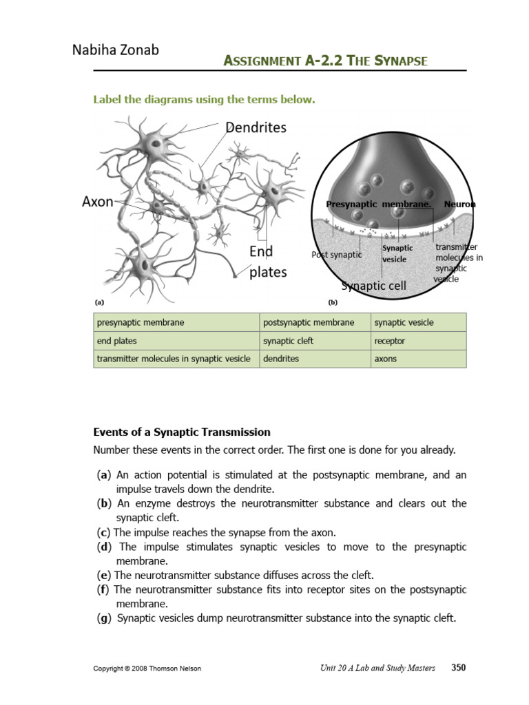 Chapter 1 Assignment 4 | PDF