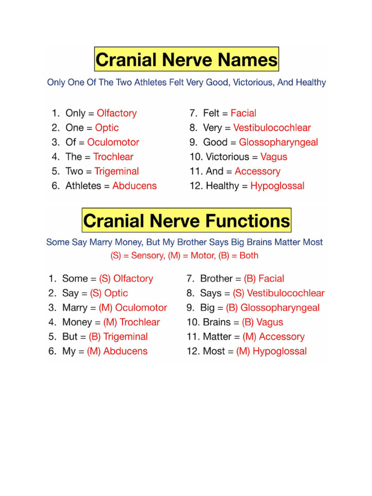 Cranial Nerve Memory Aids | PDF