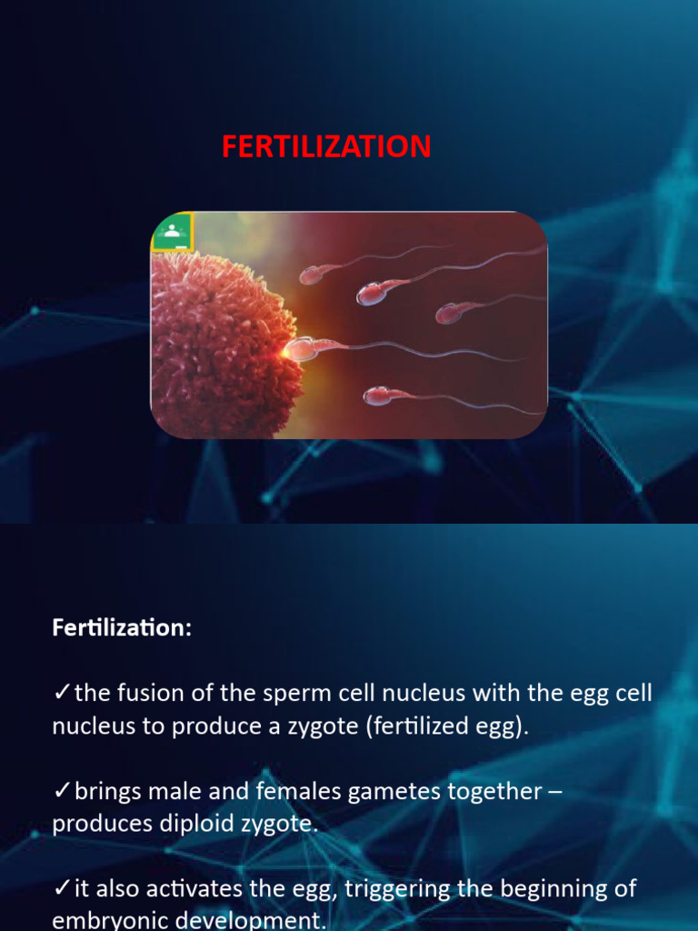 Mechanisms of Fertilization | Download Free PDF | Fertilisation | Sperm
