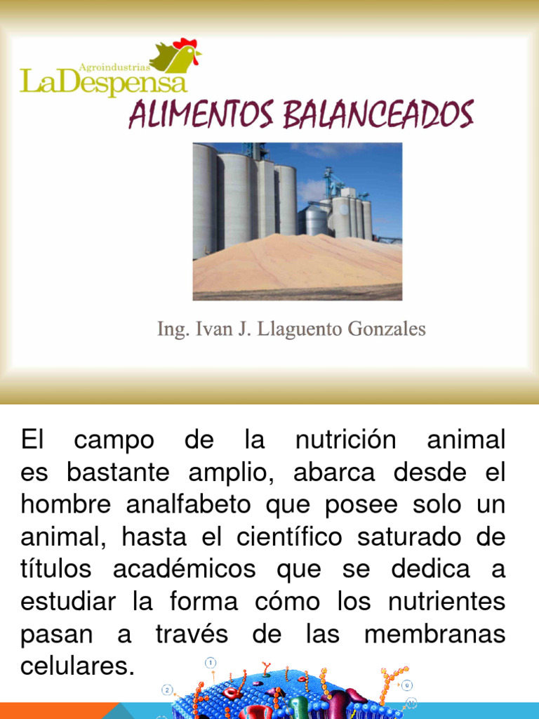 Alimentos balanceados (1) | PDF