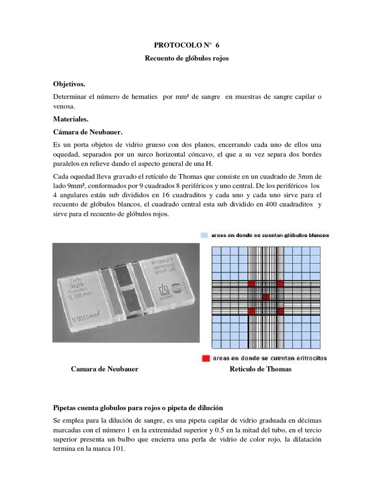 Protocolo #6 - Recuento de Rojos Camara de Newbayer | PDF | Sangre