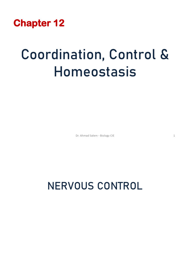 Ch12 OL Summary | PDF | Neuron | Chemical Synapse