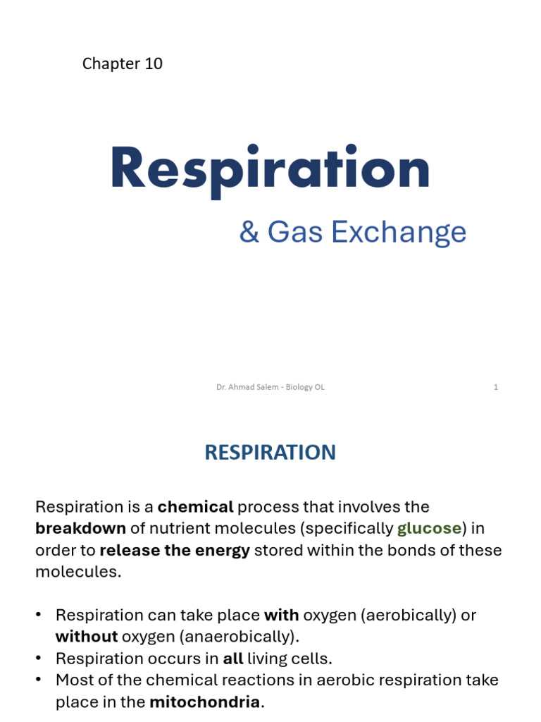 Ch10 Respiration Summary | PDF | Cellular Respiration | Breathing