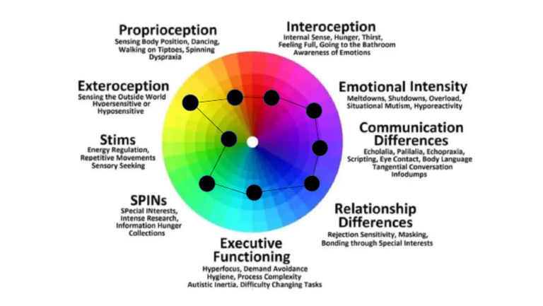 ASD Wheel | PDF