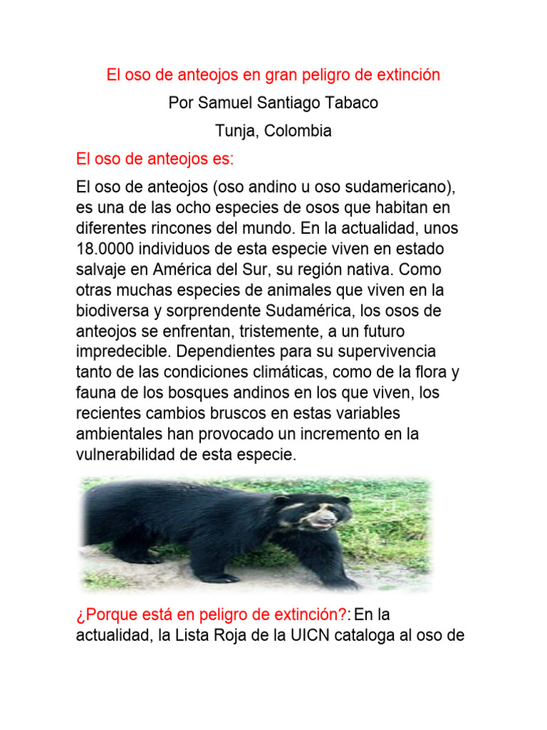 El Oso De Anteojos En Gran Peligro De Extinción Pdf Osos