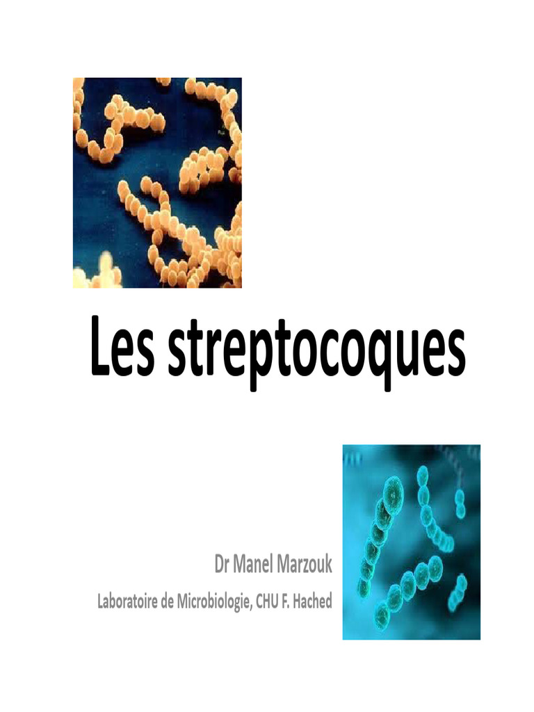 Les Streptocoques École | PDF